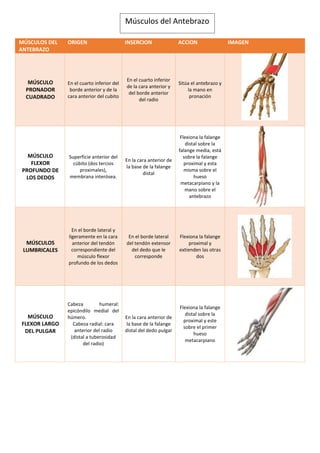 Cuadro_Musculos_del_Miembro_Superior.doc