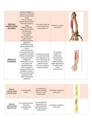 Cuadro_Musculos_del_Miembro_Superior.doc