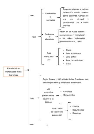Cuadro sinóptico 2 | DOCX