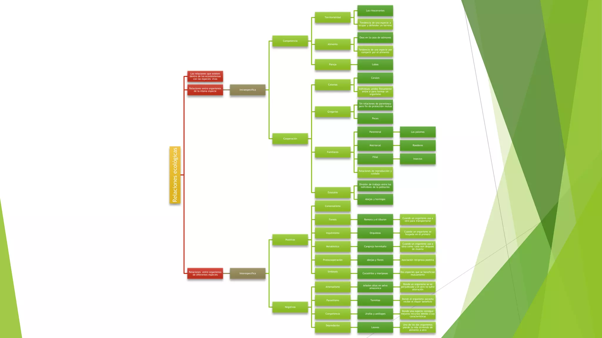 Cuadro sinóptico relaciones ecológicas | PPTX