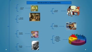 Cuadro sipnotico criminologia | PPTX