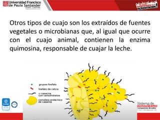 CUAJOS Y CULTIVOS medio ambiente y retir | PPTX