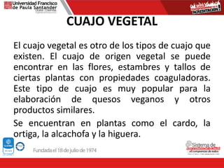 CUAJOS Y CULTIVOS medio ambiente y retir | PPTX
