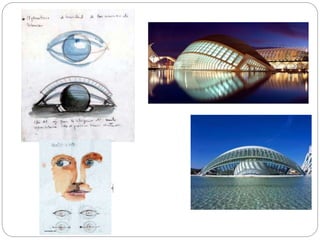 Cualidades calatrava | PPTX