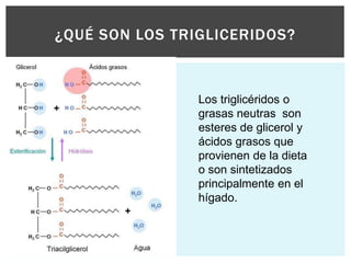 Cuantificacion de trigliceridos | PPTX