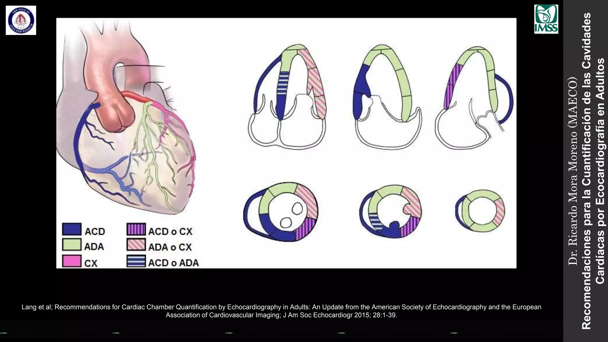 Recomendaciones Cuantificacion para medicion de camaras cardiacas por ...