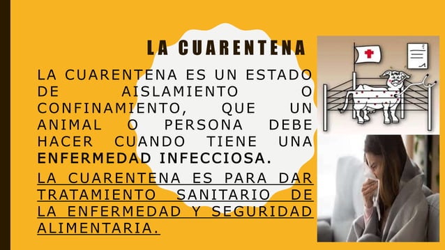 Cuarentena y coronavirus | PPT