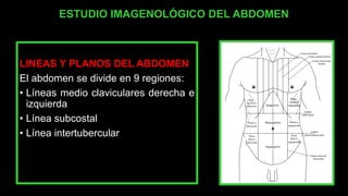 CUARTA CLASE ESTUDIO RADIOGRAFICO DEL ABDOMEN.pptx