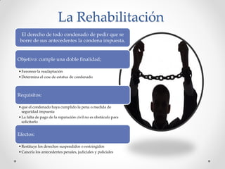 Ausencia y Contumacia, Rehabilitación y Extradicción | PDF