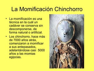 Cultura Chinchorro | PPT