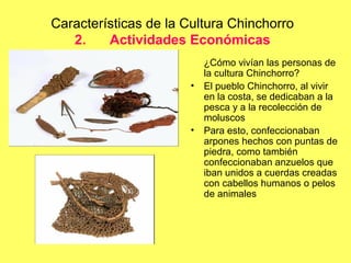Cultura Chinchorro | PPT