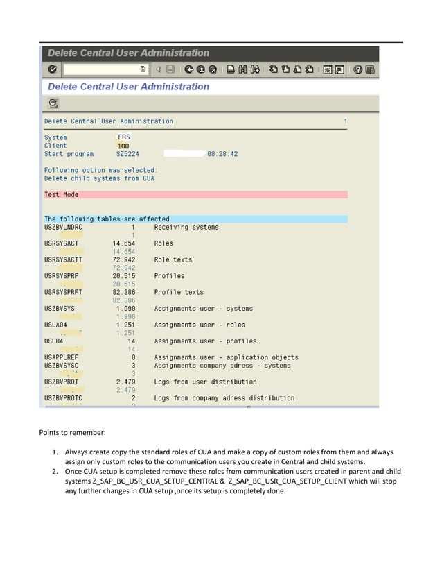 Cua Setup Procedure Sap Security Doc Operating Systems Computer Software And Applications