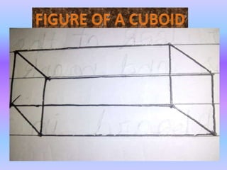 Cube and cuboid | PPT