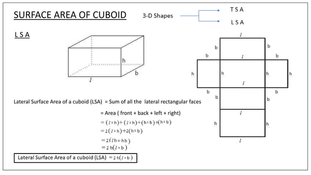 Cubes & cuboids | PPTX