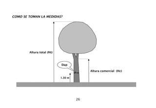 Cubicar madera | PDF