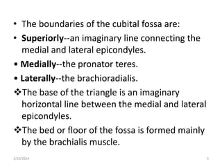 Cubital fossa | PPTX