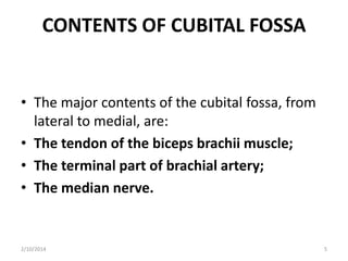 Cubital fossa | PPTX