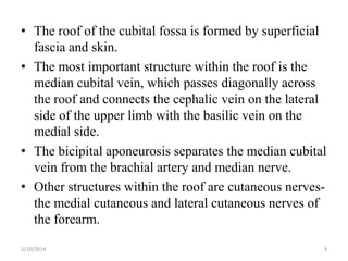 Cubital fossa | PPTX