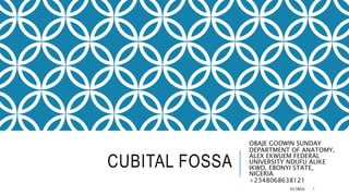 Cubital fossa | PPTX