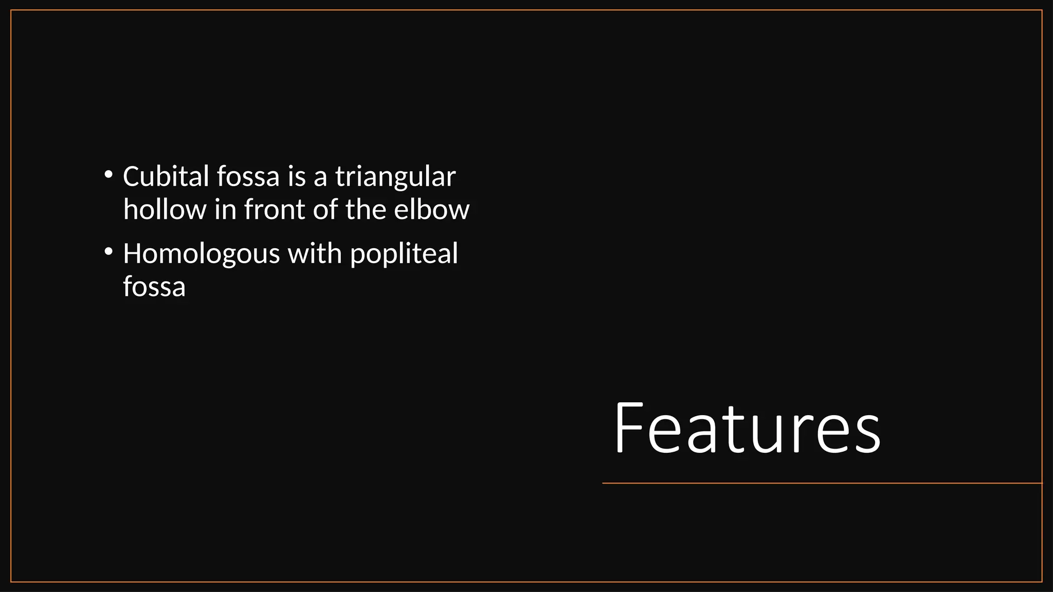 Exploring the Anatomy and Clinical Importance of the Cubital Fossa: A ...