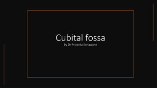 Exploring the Anatomy and Clinical Importance of the Cubital Fossa: A ...