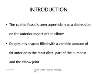 CUBITAL FOSSA presentation slide good one.pptx