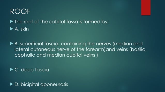 Gross Anatomy of the Cubital Fossa and its Contents | PPTX