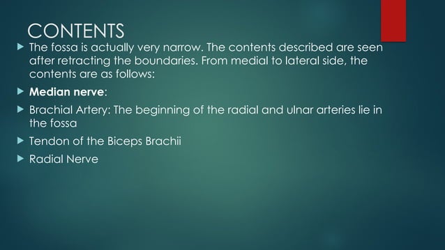 Gross Anatomy of the Cubital Fossa and its Contents | PPTX