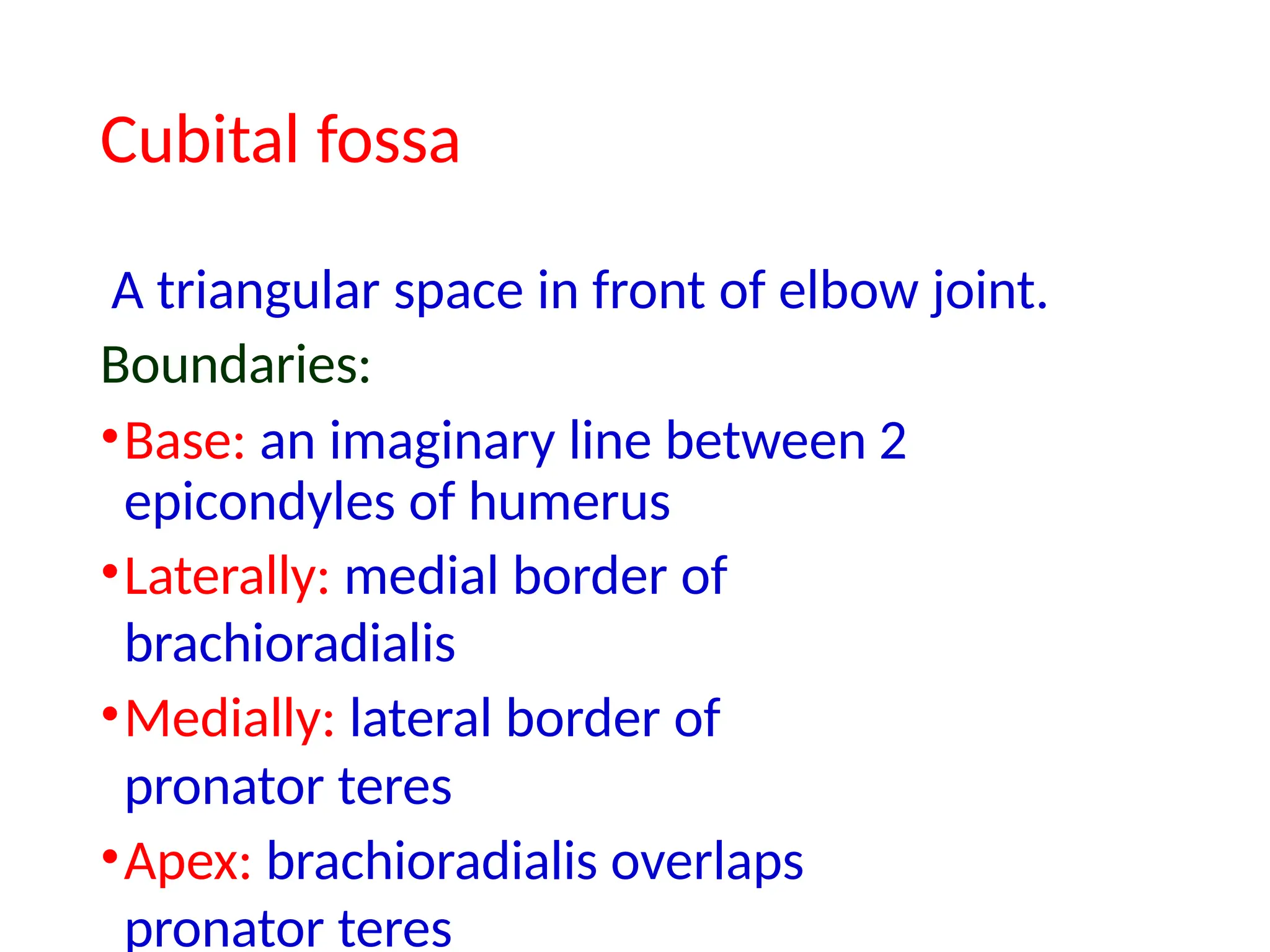 cubital fossa. Biology , Anatomy, Upper limb, Cubital fossa. Biology ...