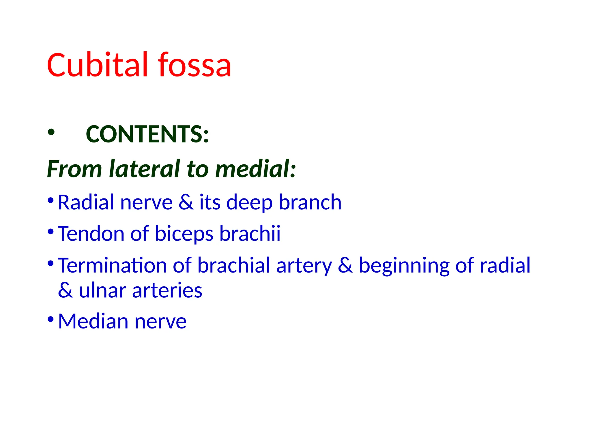 cubital fossa. Biology , Anatomy, Upper limb, Cubital fossa. Biology ...