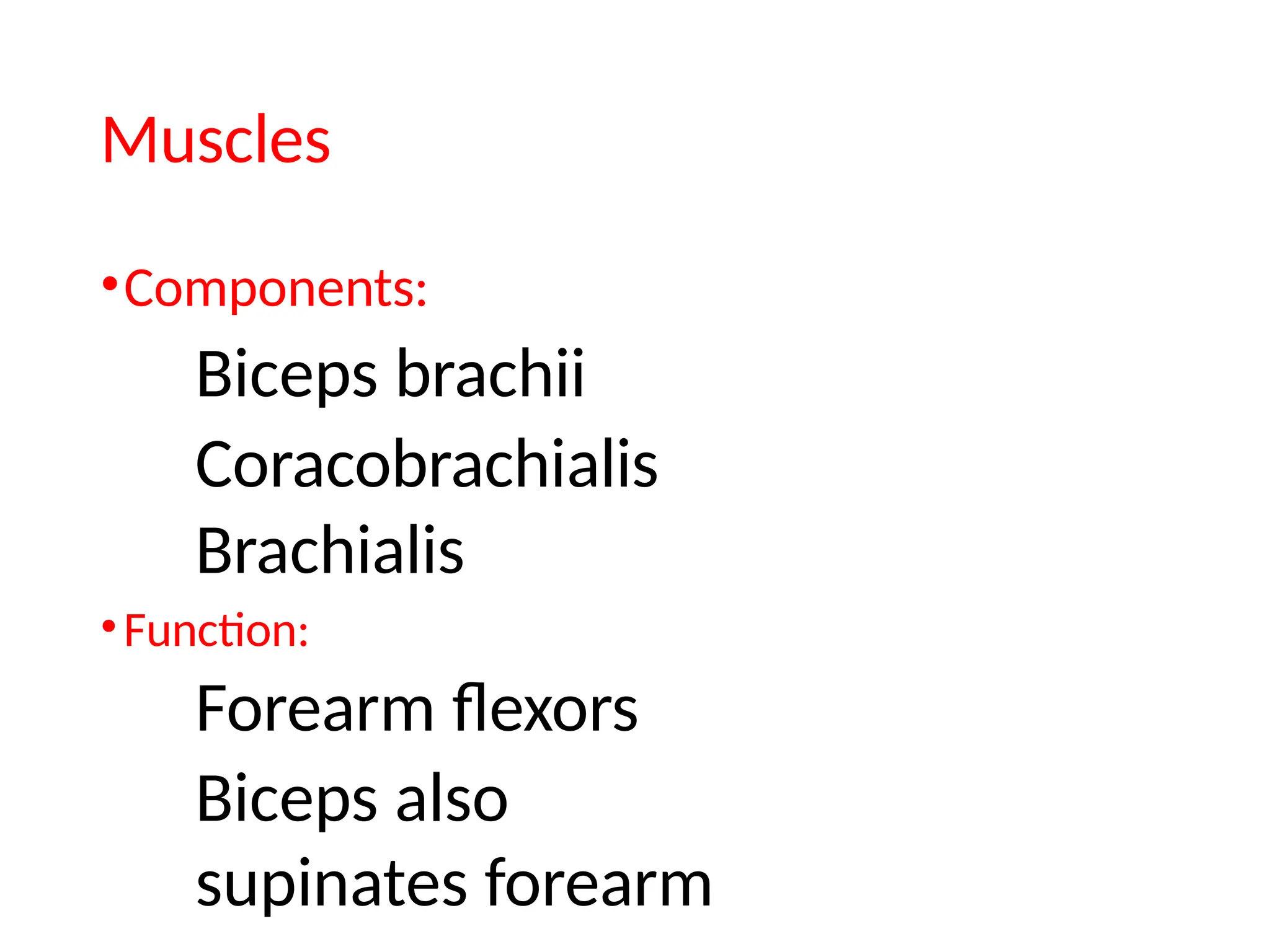 cubital fossa. Biology , Anatomy, Upper limb, Cubital fossa. Biology ...