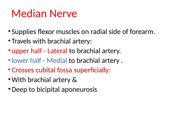 cubital fossa. Biology , Anatomy, Upper limb, Cubital fossa. Biology ...