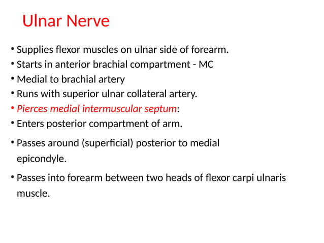 cubital fossa. Biology , Anatomy, Upper limb, Cubital fossa. Biology ...