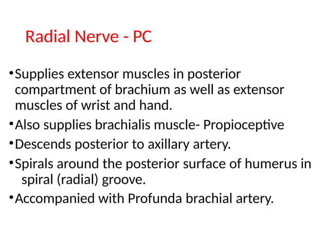 cubital fossa. Biology , Anatomy, Upper limb, Cubital fossa. Biology ...
