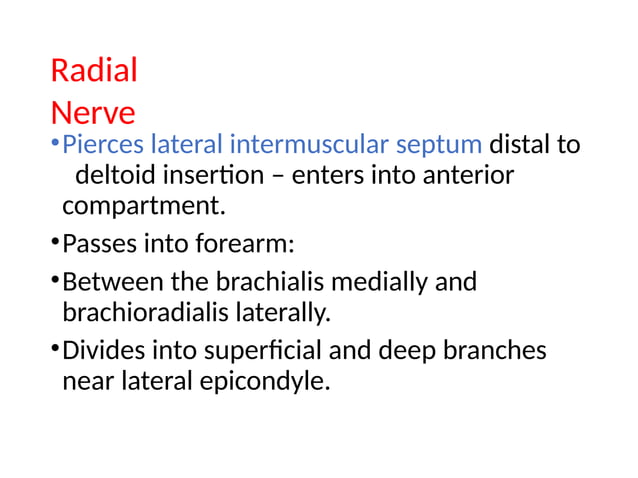 cubital fossa. Biology , Anatomy, Upper limb, Cubital fossa. Biology ...