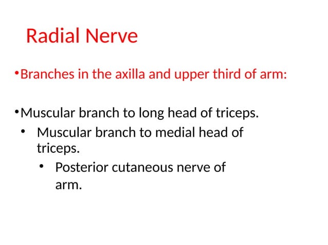 cubital fossa. Biology , Anatomy, Upper limb, Cubital fossa. Biology ...