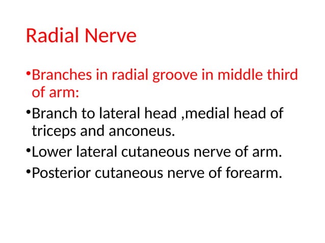 cubital fossa. Biology , Anatomy, Upper limb, Cubital fossa. Biology ...