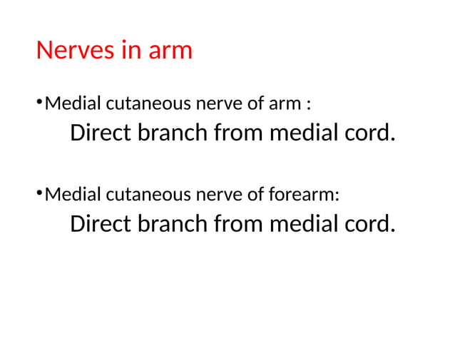 cubital fossa. Biology , Anatomy, Upper limb, Cubital fossa. Biology ...