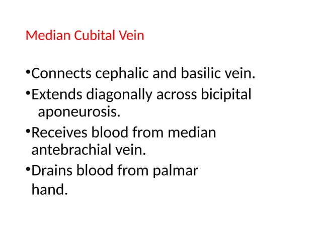 cubital fossa. Biology , Anatomy, Upper limb, Cubital fossa. Biology ...