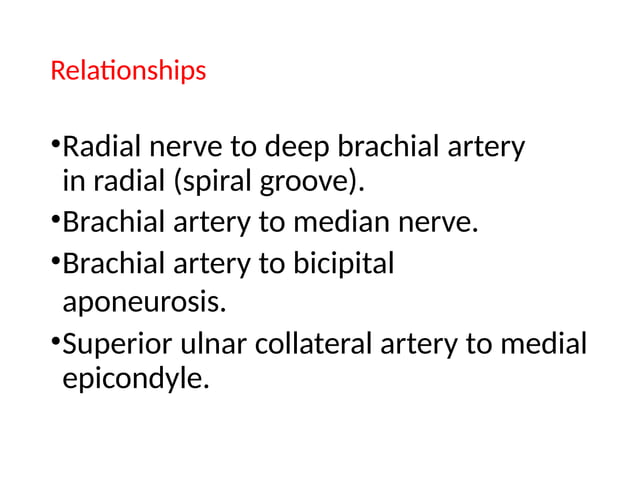 cubital fossa. Biology , Anatomy, Upper limb, Cubital fossa. Biology ...