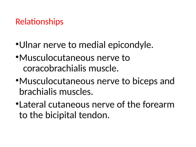 cubital fossa. Biology , Anatomy, Upper limb, Cubital fossa. Biology ...