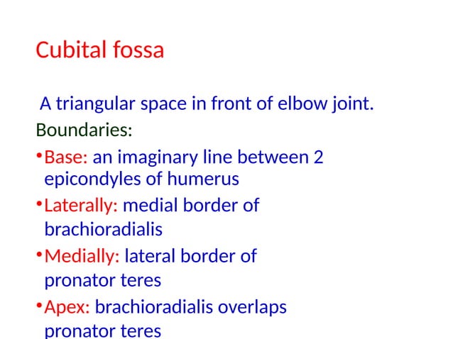 cubital fossa. Biology , Anatomy, Upper limb, Cubital fossa. Biology ...