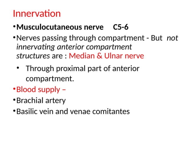 cubital fossa. Biology , Anatomy, Upper limb, Cubital fossa. Biology ...