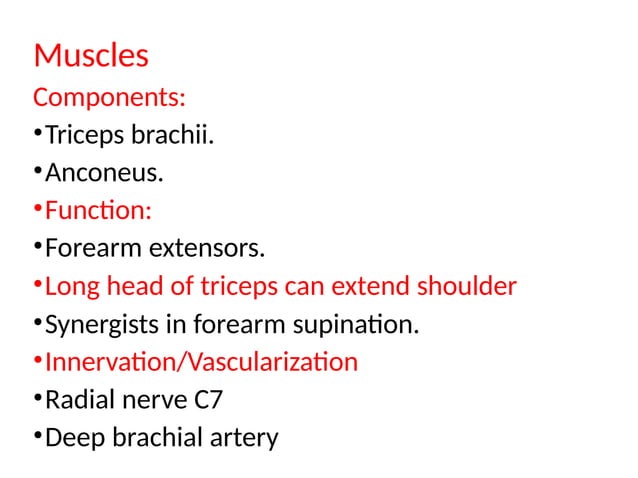 cubital fossa. Biology , Anatomy, Upper limb, Cubital fossa. Biology ...