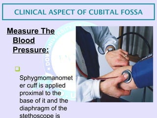 SURFACE ANATOMY OF CUBITAL FOSSA,ITS BOUNDRIES,STRUCTURES AND THEIR ...