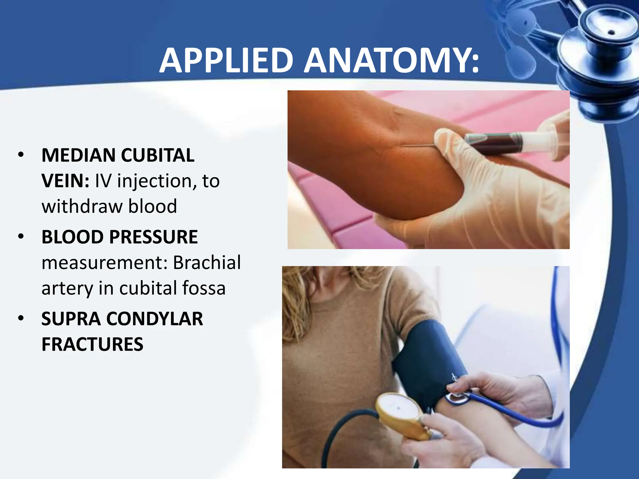 CUBITAL FOSSA AND VESSELS OF FOREARM.pdf