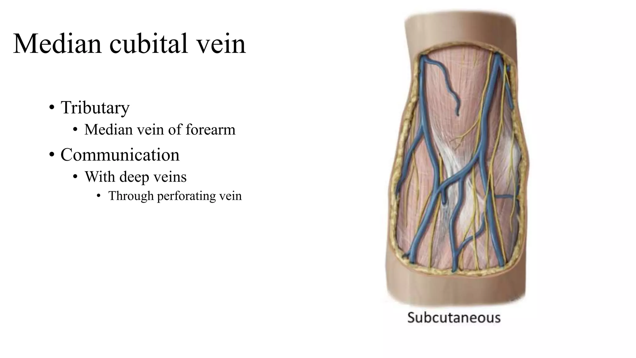 cubital fossa & elbow anastomosis.pptx