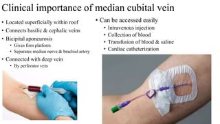 cubital fossa & elbow anastomosis.pptx