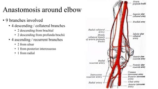 cubital fossa & elbow anastomosis.pptx