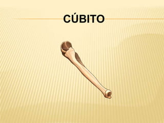 Cubito | PPTX